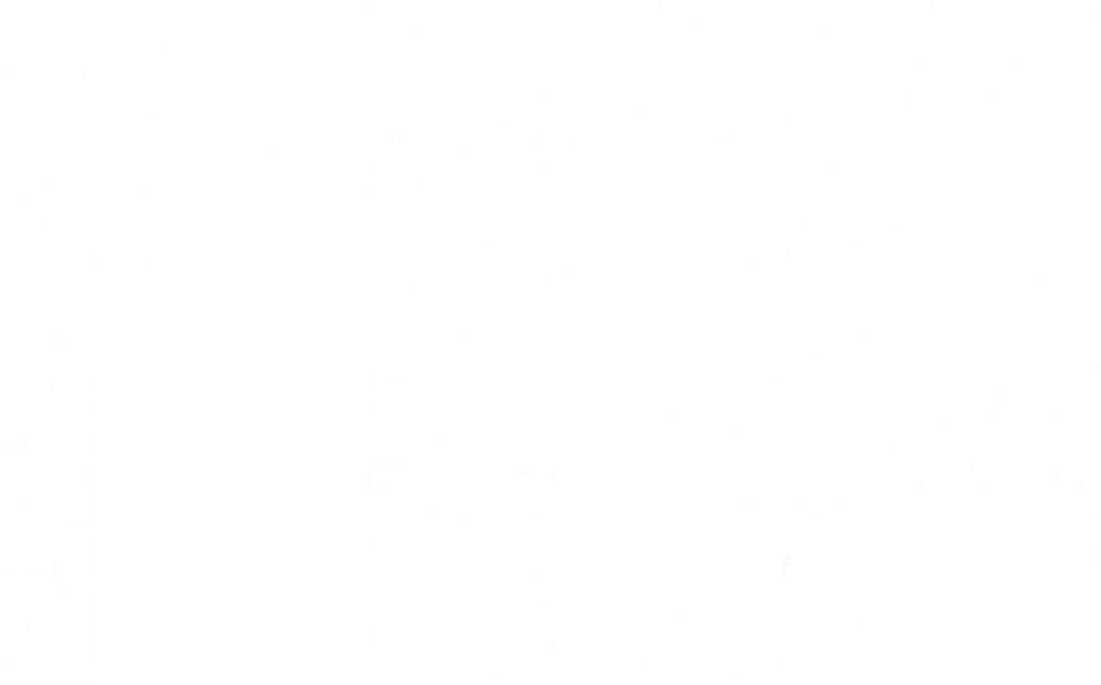 Mick ’n Fish – Dagverse viswinkel en visgerechten in Schoten